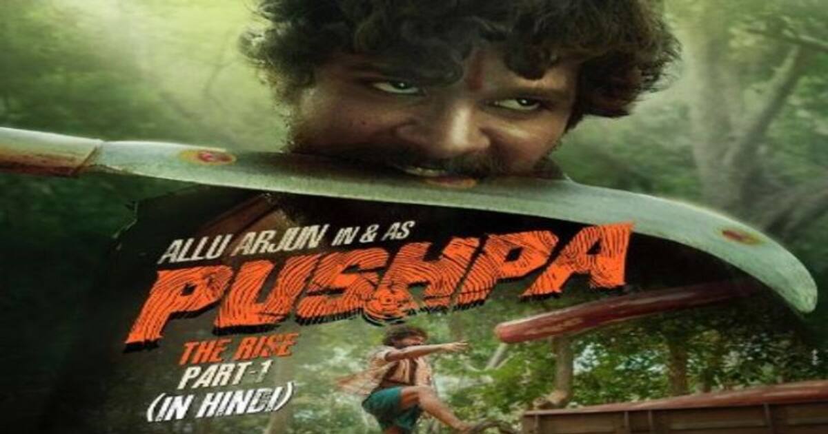 Pushpa:నార్త్ ఇండియాలో షాకిస్తున్న ‘పుష్ప’, బన్నీపై కామెంట్స్ | Pushpa ...