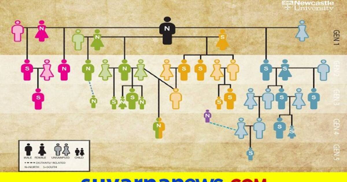 Oldest Family Tree: 5700 ವರ್ಷಗಳಷ್ಟು ಹಳೆ ಸಮಾಧಿಯಲ್ಲಿದೆ ವಿಶ್ವದ ಅತ್ಯಂತ ಹಳೆಯ ...
