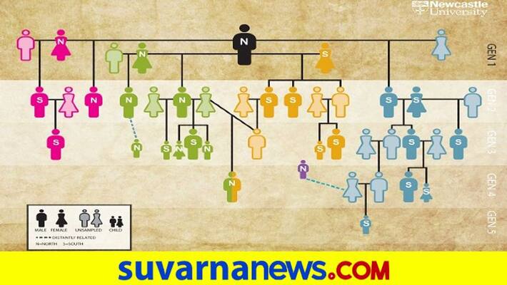 Oldest Family Tree: 5700 ವರ್ಷಗಳಷ್ಟು ಹಳೆ ಸಮಾಧಿಯಲ್ಲಿದೆ ವಿಶ್ವದ ಅತ್ಯಂತ ಹಳೆಯ ...