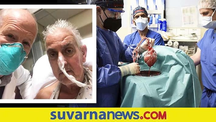 Pig Heart Transplant: ಅಮೆರಿಕದಲ್ಲಿ ಹಂದಿ ಹೃದಯ ಕಸಿಗೊಳಗಾಗಿದ್ದ ವ್ಯಕ್ತಿ ಸಾವು!