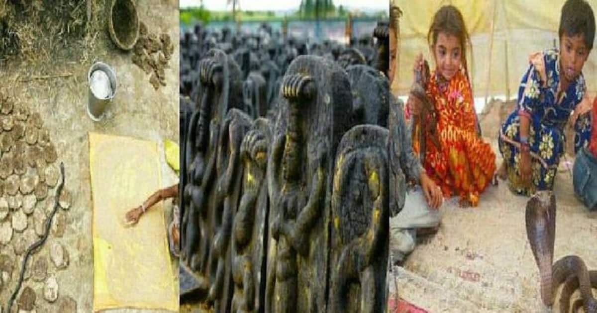 Shetpal snake village : കൊച്ചുകുഞ്ഞുങ്ങൾ പോലും പാമ്പിനൊപ്പം കളിക്കുന്ന ...