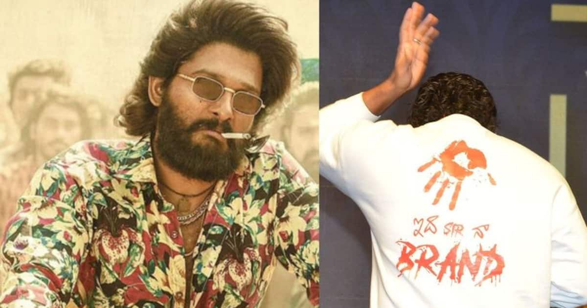 Allu Arjun: ఇది అల్లు అర్జున్ సపరేట్ బ్రాండ్... ఆ ఫ్యామిలీలో ఒకడిగా ...