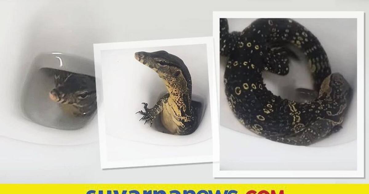 ಓಡಿ ಹೋಗಿ ಟಾಯ್ಲೆಟ್‌ನಲ್ಲಿ ಕೂರೋ ಮುನ್ನ ಎಚ್ಚರ.... ಇಲ್ಲೇನಿತ್ತು ನೋಡಿ | couple ...