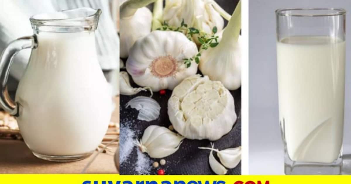 Garlic Milk Benefits: ಮಲಬದ್ಧತೆ ಸಮಸ್ಯೆನಾ ? ಬೆಳ್ಳುಳ್ಳಿ ಹಾಲು ಕುಡ್ದು ನೋಡಿ ...