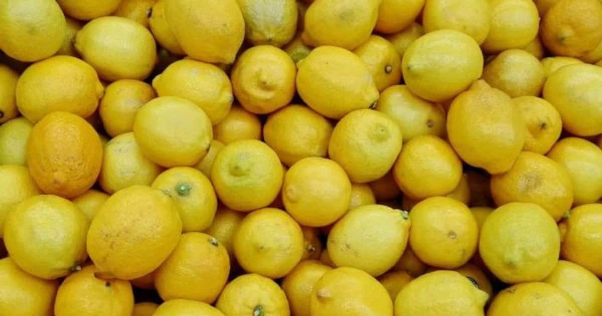 ரூ. 1 லட்சத்துக்கு ஏலம் போன எலுமிச்சை பழங்கள் - காரணம் தெரிஞ்சா ஷாக் ...
