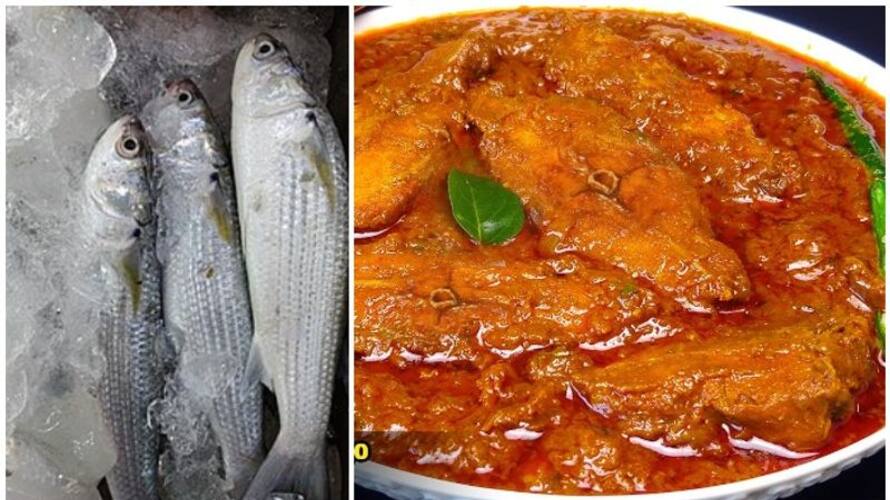 രുചികളിലെ രാജാവ്, അങ്ങ് ദില്ലിയിൽ വരെ പിടി; എന്താണ് തിരുത മീനിന്റെ ...