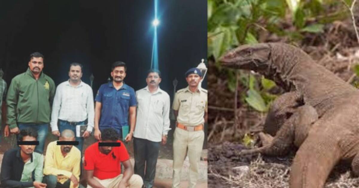 அட கடவுளே.. மானிட்டர் பல்லி கொடூரமாக பலாத்காரம்.. வீடியோ ஆதாரத்துடன் ...