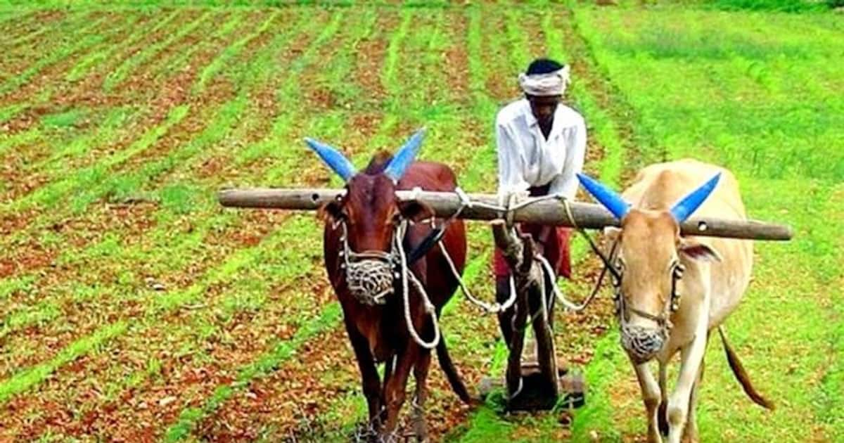 From Kisan Rail to Kisan Udan to Kisan Credit Card... How Modi govt has ...