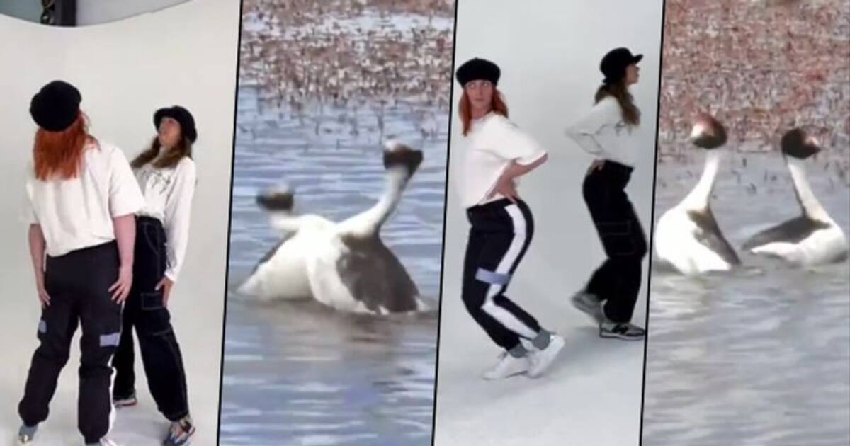 Watch: Two girls replicating a duck; hilarious video will leave you in ...
