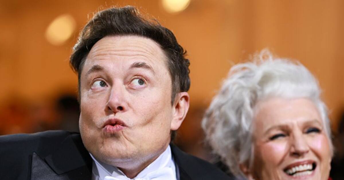 Watch Elon Musk's funny act at Met Gala red carpet; Twitter owner walks ...
