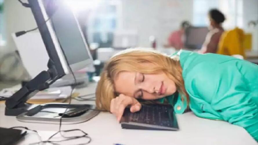 Japanese company develops vertical 'nap boxes' to let employees take ...