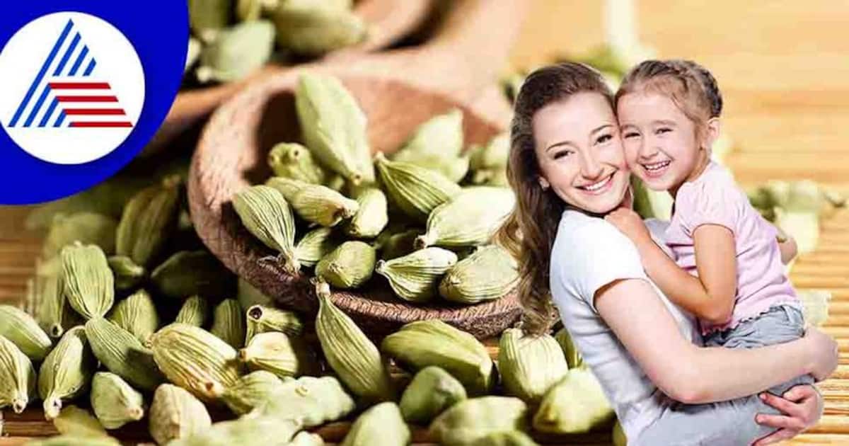Cardamom: தினமும் உணவில் ஏலக்காய் சேர்த்தால் இவ்வளவு நன்மைகளா ...
