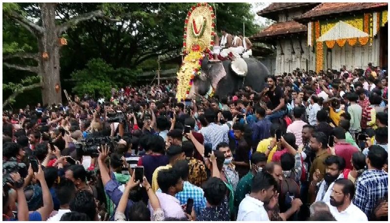 Thrissur Pooram : പൂര ലഹരിയിൽ തൃശ്ശൂർ, തെക്കേ ഗോപുര വാതി ...