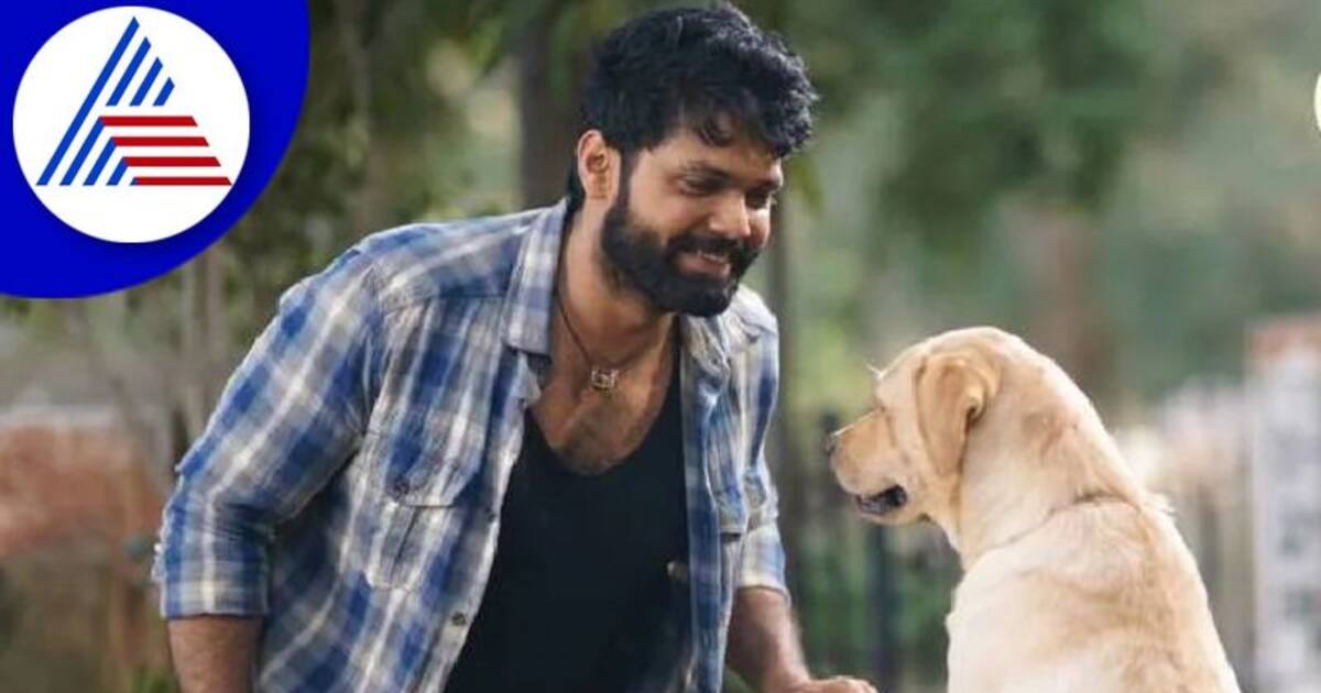 777 Charlie film review: ಸದ್ದುಗದ್ದಲದ ಜಗತ್ತಲ್ಲಿ ಒಂದು ಆಹ್ಲಾದಕರ ಮೌನ