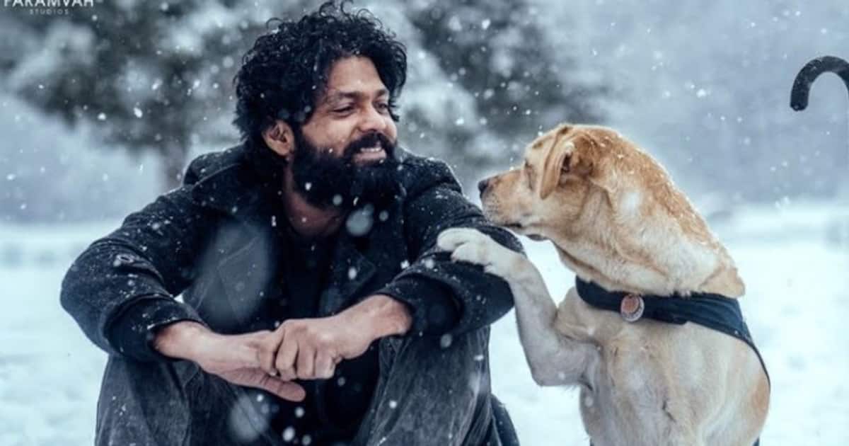 777 Charlie: Where is Charlie? What is he doing these days? Here's a ...