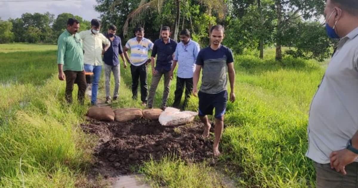 മീൻപിടിക്കാനെത്തി, ലഭിച്ചത് ഉഗ്ര സ്ഫോടക ശേഷിയുള്ള ഗ്രനേഡ്, പാടശേഖരത്ത് ...