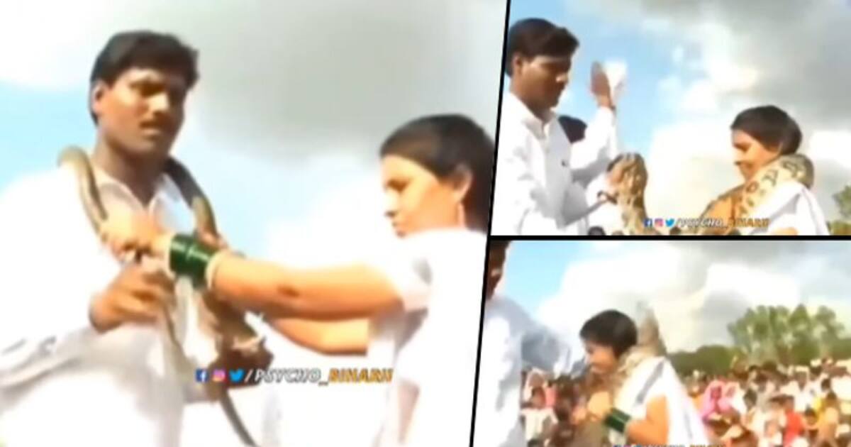Bride, groom exchange snake garlands as part of bizarre rituals