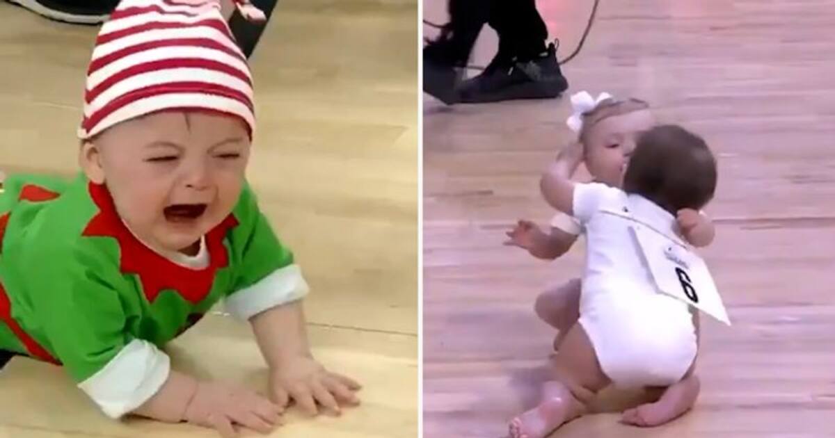 This baby crawling race will leave you in splits; watch