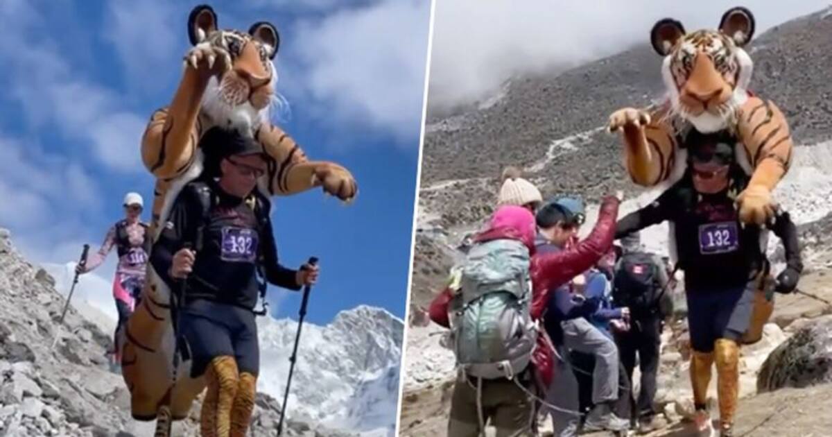 Wildlife photographer runs ‘Everest marathon’ to save tigers; watch
