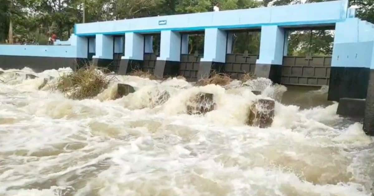 Cauvery River : വരണ്ടുണങ്ങിയ ഗ്രാമങ്ങളിലേക്ക് കാവേരി വന്നു, വരവേറ്റ് ...