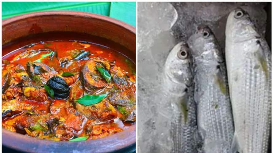 Thirutha fish Curry : കുടംപുളി ഇട്ട് വറ്റിച്ച സ്പെഷ്യൽ തിരുത മീൻ കറി ...
