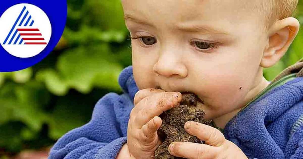 ಮಕ್ಕಳು ಮಣ್ಣು ತಿಂದ್ರೆ ತಪ್ಪಲ್ಲ, ಹಾಗಂಥ ಪದೆ ಪದೇ ತಿಂದ್ರೆ ಡೇಂಜರಸ್!