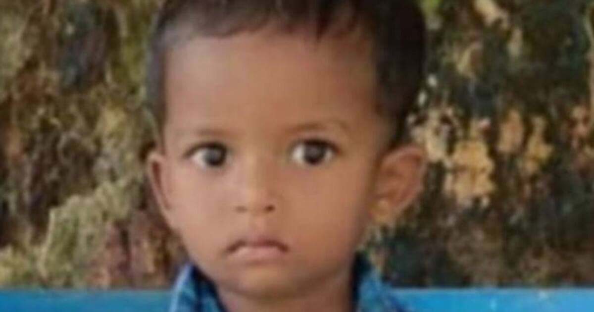 കൊല്ലത്ത് രണ്ടര വയസുകാരനെ കാണാനില്ല; തിരച്ചിൽ ഊർജ്ജിതം, നാട്ടുകാരും ...