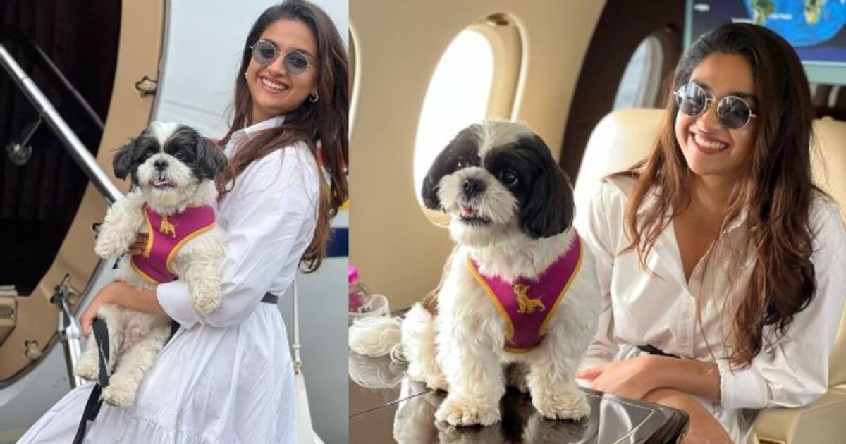 తన పెట్ తో మహానటి క్యూట్ ఫోజులు.. విమానం ముందు ఇద్దరి అల్లరి చూశారా