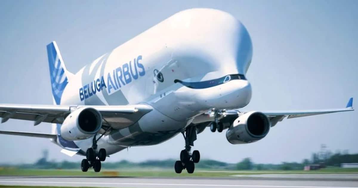 beluga airbus: விமானத்தையே தூக்கிச் செல்லும் திமிங்கல பெலுகா ஏர்பஸ் ...