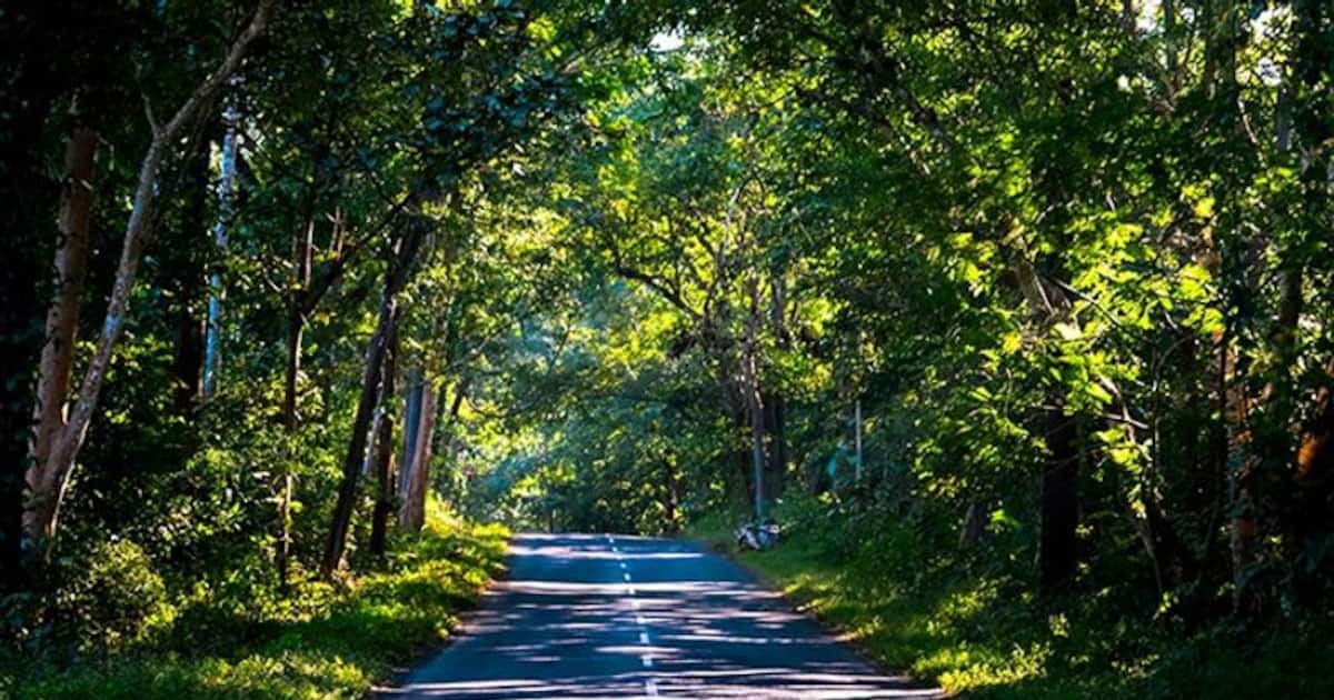 Planning a monsoon road trip? Consider these 5 routes