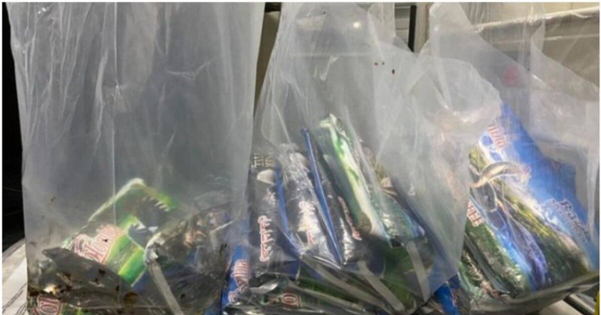 Attempt To Smuggle 29 Kg Of Hashish Inside A Spare Tyre Driver