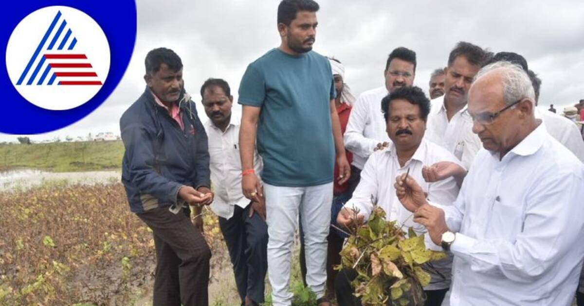 ಧಾರವಾಡ ಜಿಲ್ಲೆಯಲ್ಲಿ ಮಳೆಯಿಂದ ಬೆಳೆ ಹಾನಿ: ಸಚಿವ ಹಾಲಪ್ಪ ಭೇಟಿ