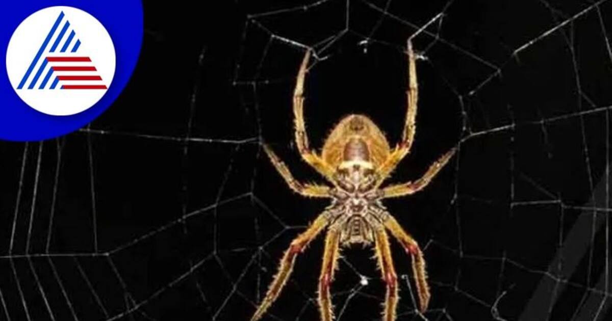 Astrology Tips : ಗೆಸ್ಟ್ ಬರ್ತಾರೆ ಅನ್ನೋದ್ರಿಂದ ಹಿಡಿದು ಅನಾಹುತದವರೆಗೆ ಸೂಚನೆ ...