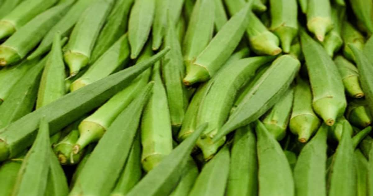 Health Tips : വെണ്ടയ്ക്ക കഴിച്ചാൽ ലഭിക്കുന്ന ആരോ ഗ്യ ഗുണങ്ങൾ