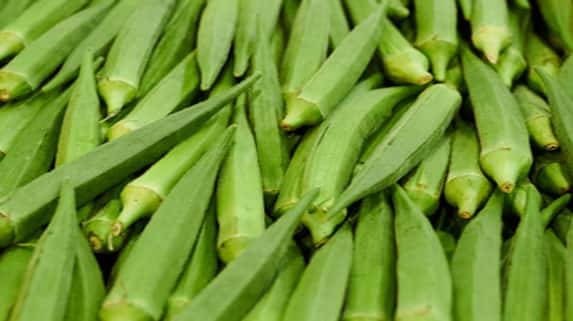 Health Tips : വെണ്ടയ്ക്ക കഴിച്ചാൽ ലഭിക്കുന്ന ആരോ ഗ്യ ഗുണങ്ങൾ