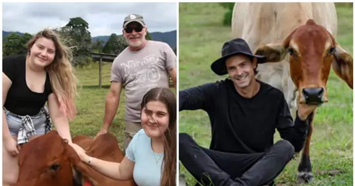 Cow Therapy: ಭಾರತೀಯ ಗೋವುಗಳನ್ನು ಬಳಸಿ ಆಟಿಸಂ ರೋಗಿಗಳಿಗೆ ಆಸ್ಟ್ರೇಲಿಯಾದಲ್ಲಿ ...