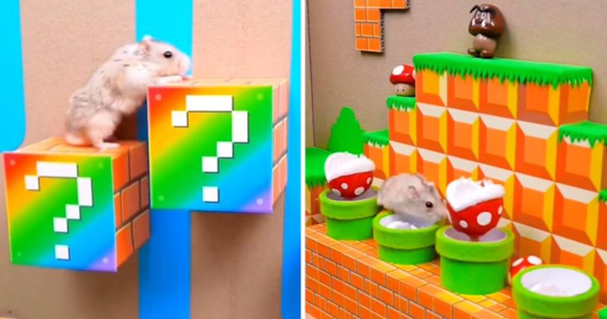 Hamster plays real-life Super Mario, netizens delighted | Watch