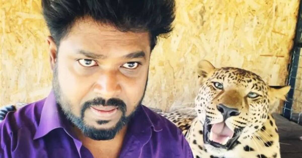 Andhra doctor seeks Modi govt's help to rescue pet panther and jaguar ...