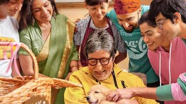 Goodbye movie review: Arun Bali, Rashmika Mandanna, Amitabh Bachchan's ...