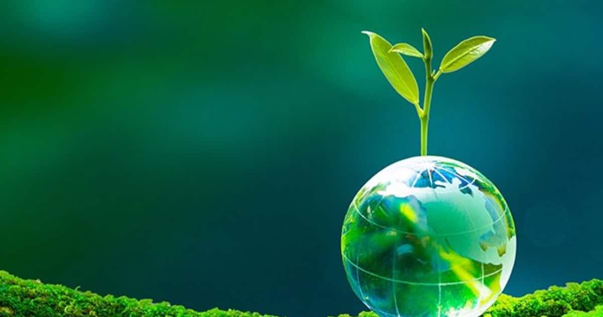 Start practising sustainable living for a better tomorrow. Here are 6 ...