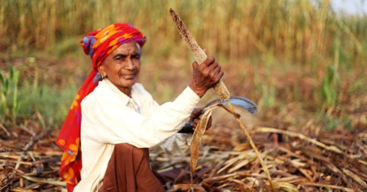 Millet: Why this Indian superfood is a 'smart' choice for the world