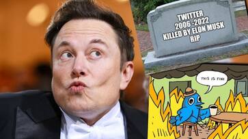 'RIP Twitter' trends amidst Twitter mass resignations after Elon Musk's ultimatum