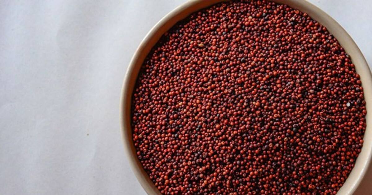 Healthy and low calorie ragi recipes you can try out