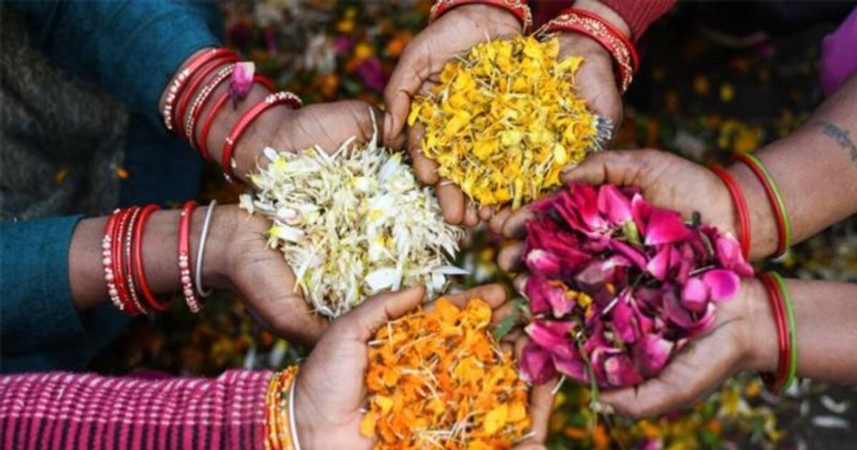 சாமந்தி முதல் ஊமத்தம் வரை- கடவுள் வழிபாட்டுக்கு உகந்த 5 மலர்கள்..!!