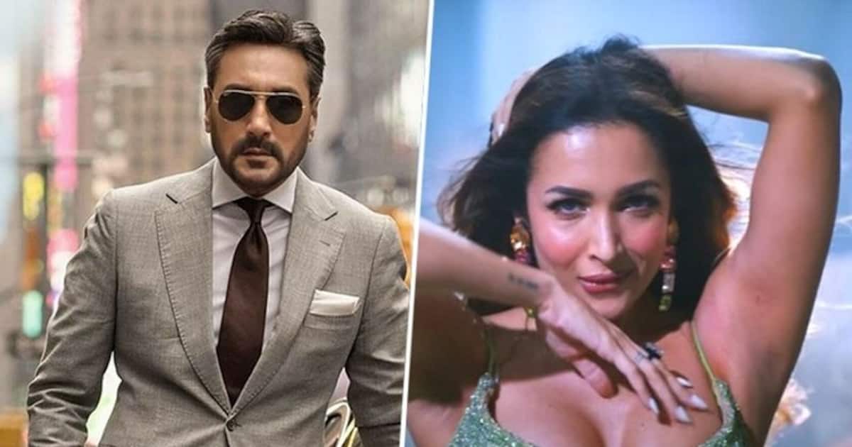 An Action Hero: Pakistani actor Adnan Siddiqui slammed 'Aap Jaisa Koi ...