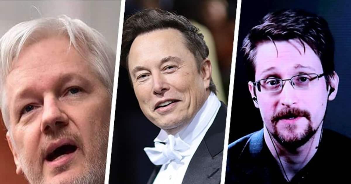 'Should Assange and Snowden be pardoned?' Elon Musk starts a new ...