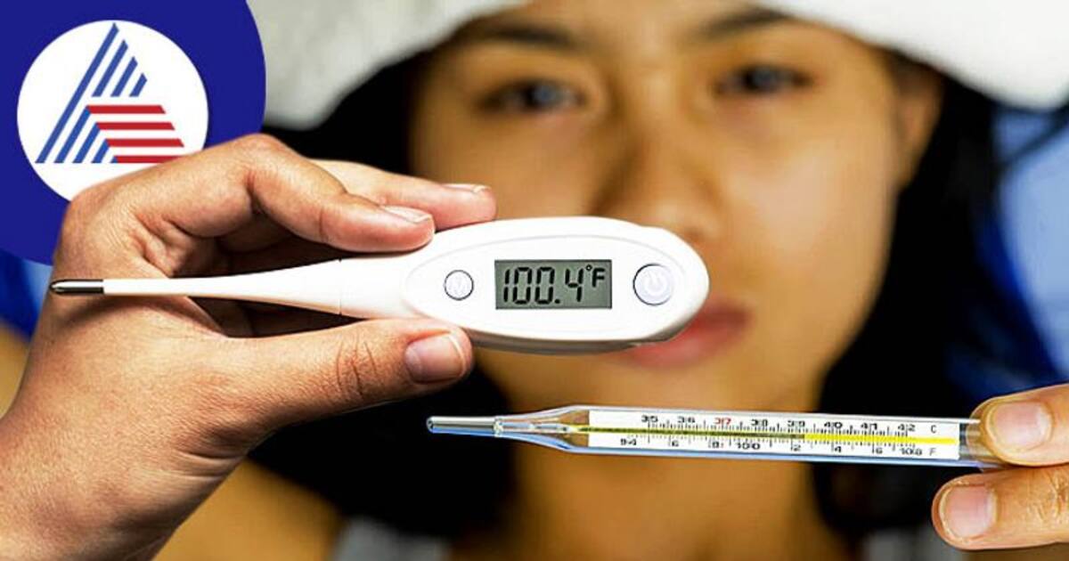 100 ಡಿಗ್ರಿ ಜ್ವರ ಒಂದೇ ದಿನದಲ್ಲಿ ಹೋಗ್ಬೇಕಾ? ಇದನ್ನು ಟ್ರೈ ಮಾಡಿ