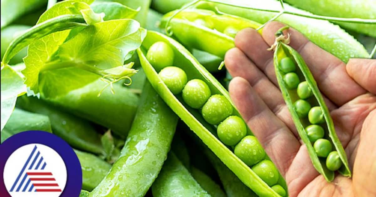 ಬಟಾಣಿ ತೆಗೆದು ಸಿಪ್ಪೆ ಎಸೆಯೋ ಮುನ್ನ ಇರಲಿ ಗಮನ