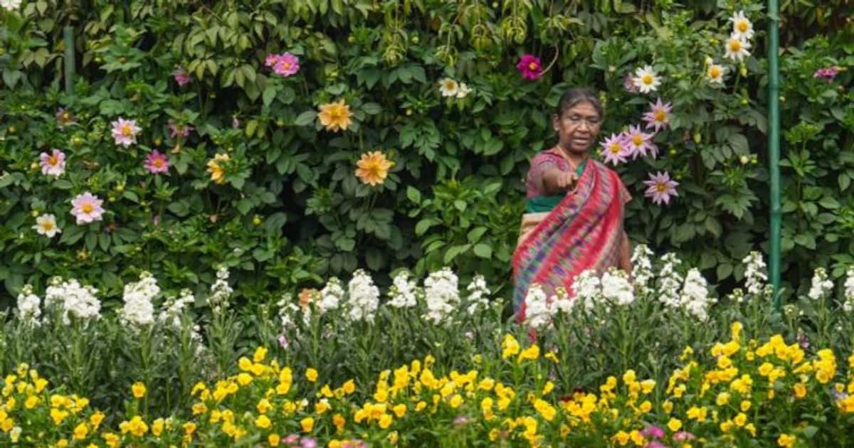 PHOTOS: Inside the Amrit Udyan of the Rashtrapati Bhavan