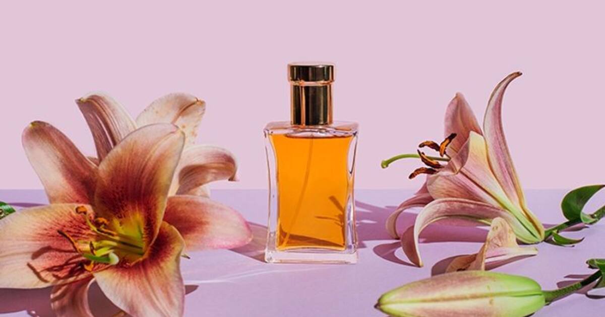 Perfume Day 2023: How to Celebrate? Know Wishes, messages, quotes to ...